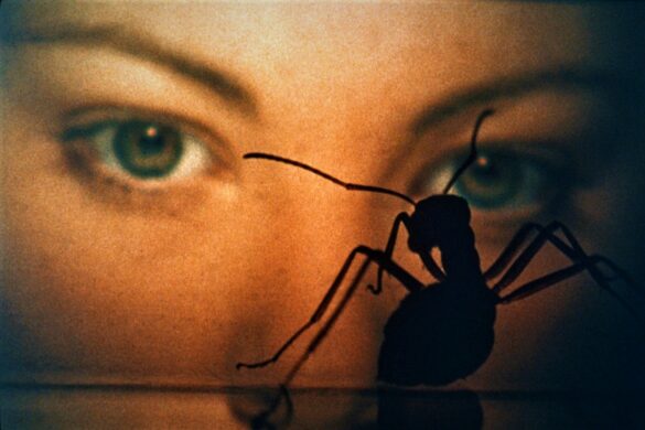 Entenda Melhor | Insetos: Monstros Icônicos do Cinema